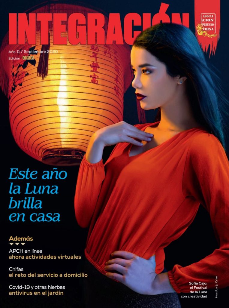 Revista Integración - APCH